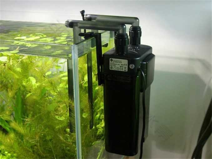 How A Canister Filter Works? All You Need to Know